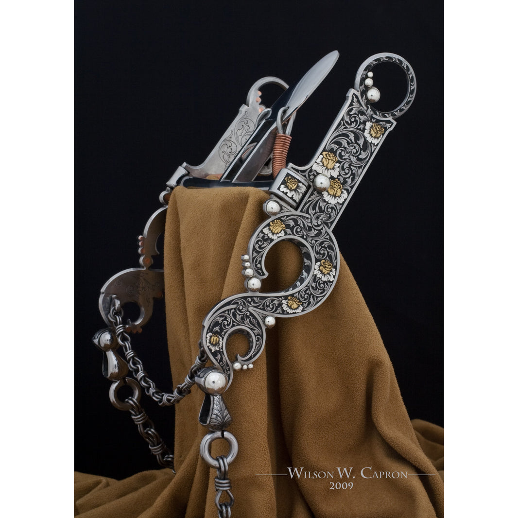 $20,000 and Over~Bits – Capron Bits & Spurs